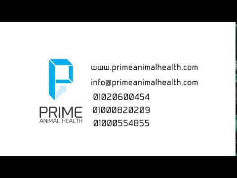 Prime Animal Health - YouTube