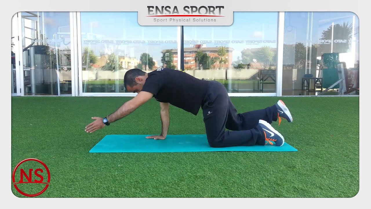 Apoyo rodilla y mano (Superman-Bird Dog) - NS - YouTube