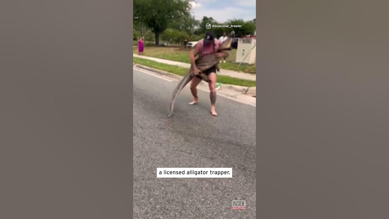 Man Wrangles Alligator With Bare Hands and Feet #shorts - YouTube