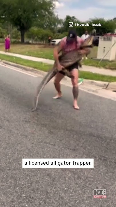 Man Wrangles Alligator With Bare Hands and Feet #shorts - YouTube