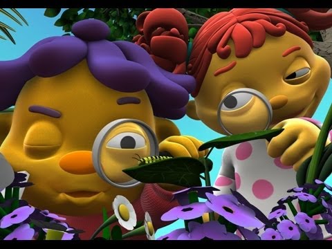 Sid the Science Kid - The Magnification Observation - YouTube