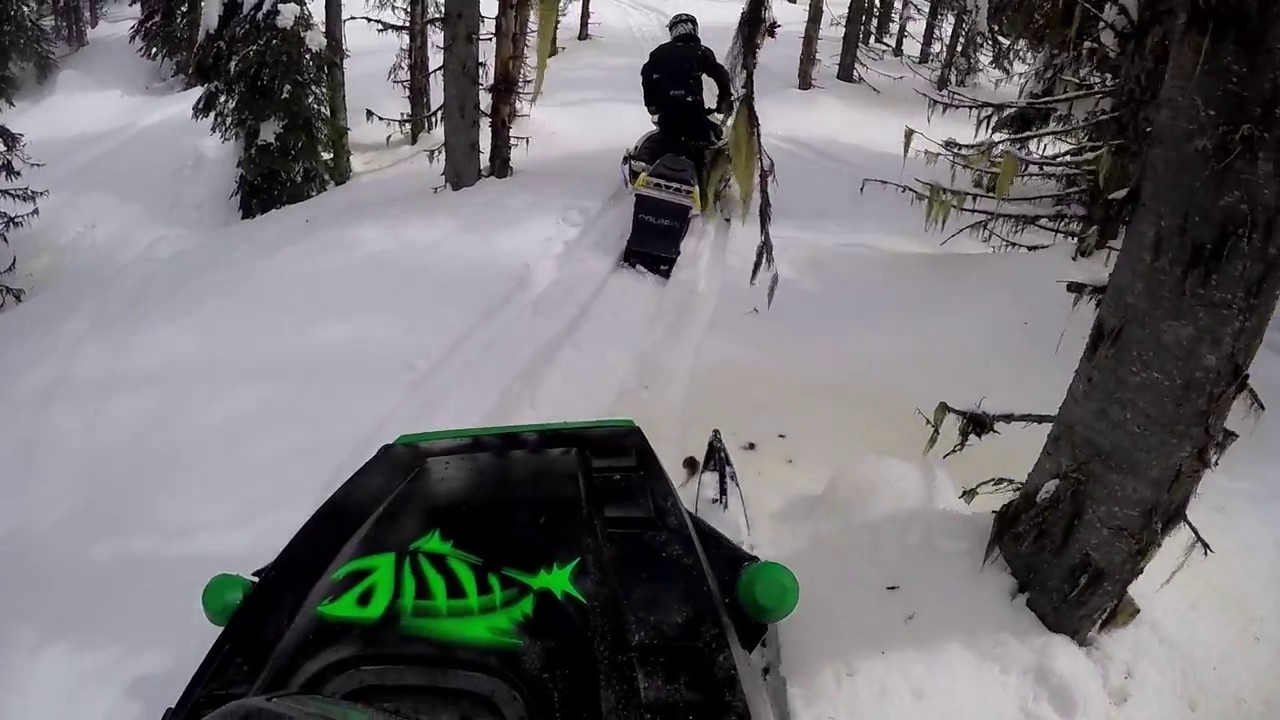 Yamaha Phazer II Snowmobile Adventure! Silver Star - YouTube