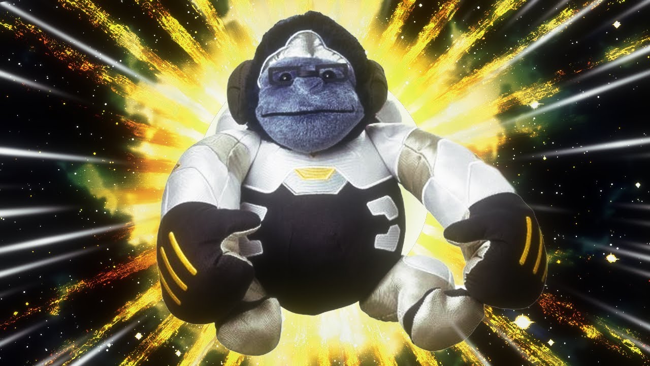 ITS WINTON TIME 🦍 - YouTube