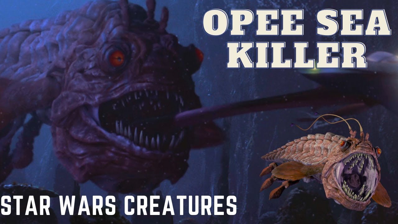 Opee Sea Killer | Star Wars Creatures - YouTube