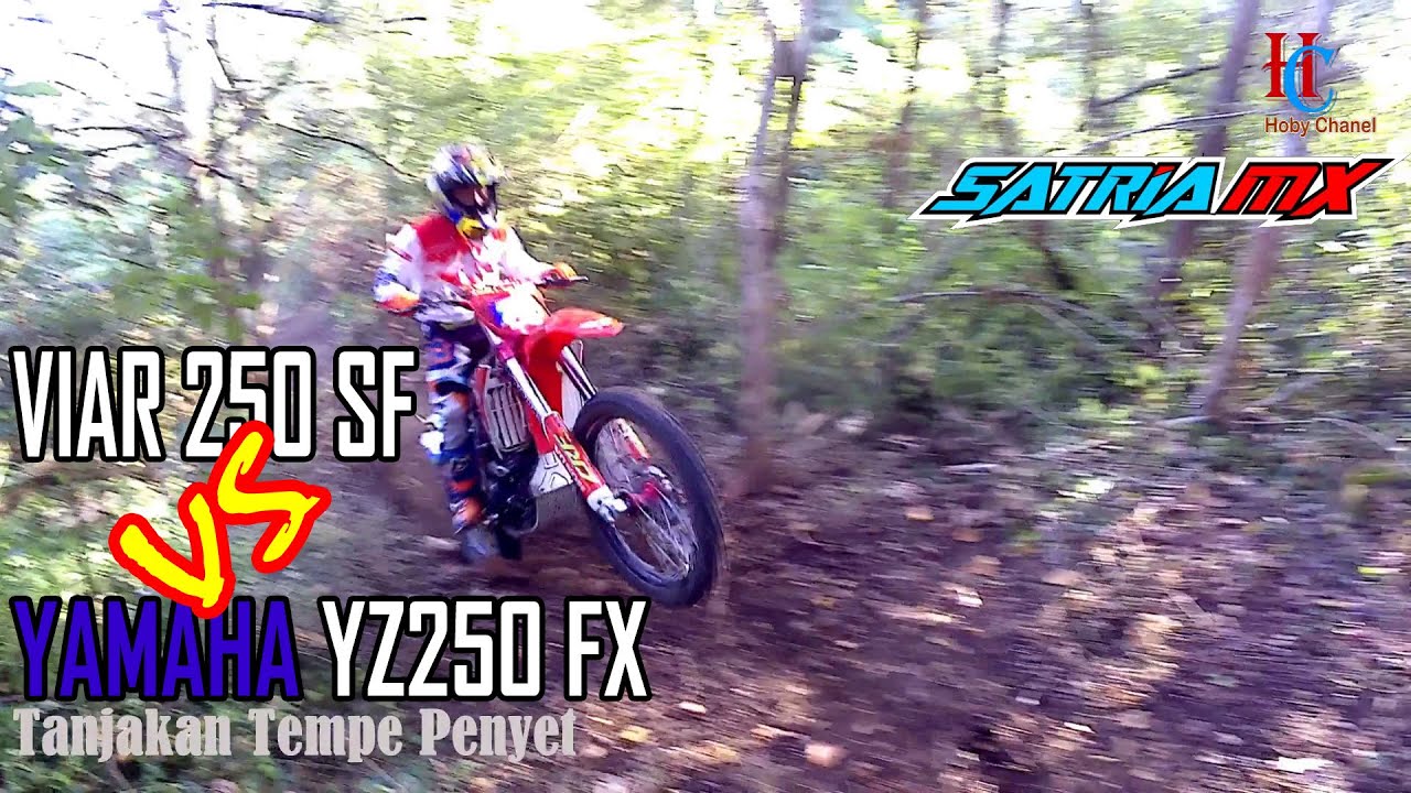 VIAR 250 SF VS YAMAHA 250 FX - YouTube