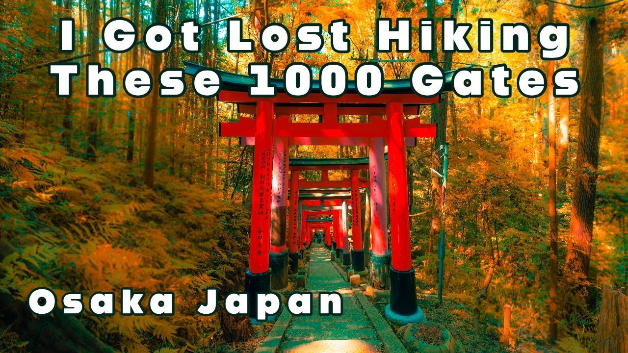 Fushimi Inari - Shrine of 1000 Gates - Kyoto, Japan Trek - YouTube