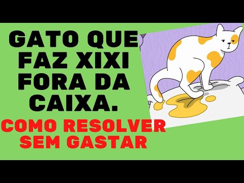 SEU GATO NUNCA MAIS VAI FAZER XIXI PELA CASA DEPOIS QUE VC ASSISTIR ESSE VÍDEO E SEM PRECISAR GASTAR