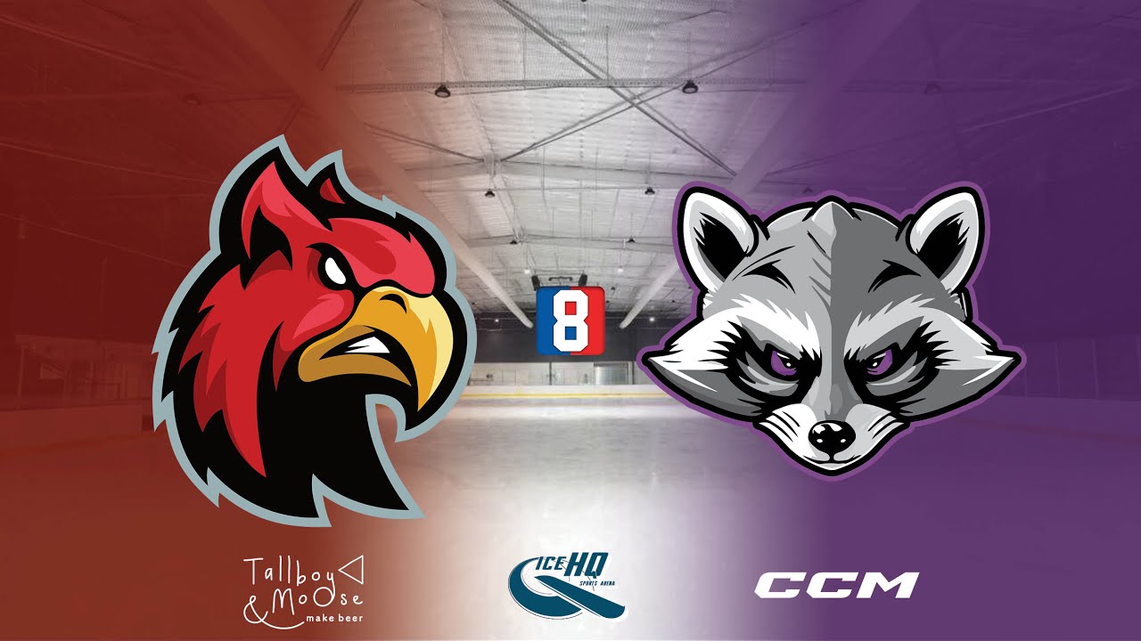 La Trobe Griffins VS Trash Pandas - Div 8 - 29th November - IceHQ Rec ...