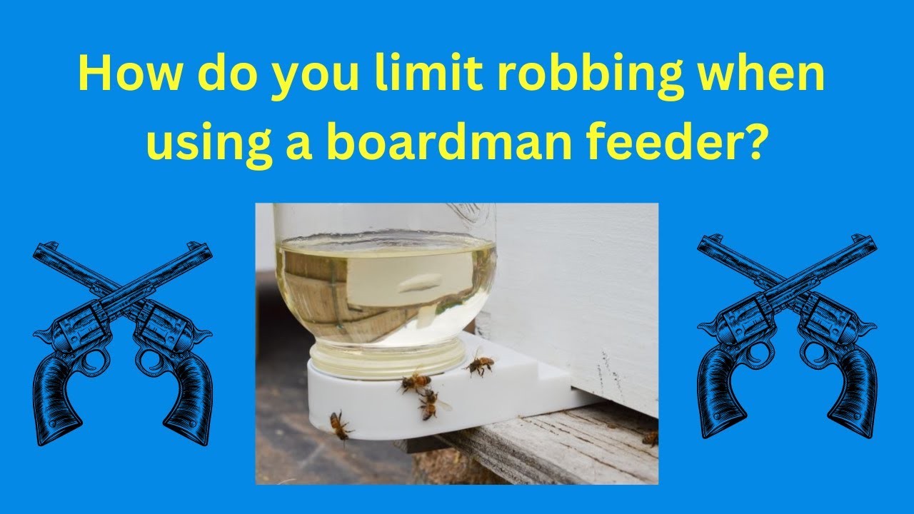 Do Exterior Feeders Promote Robbing In My Bee Hives? - Ask Ray - YouTube