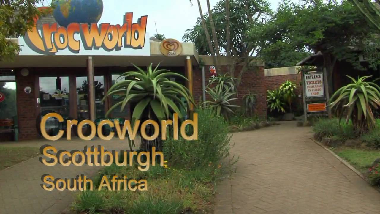 Dennis Stratton SA Tour 2009 - Crocworld - YouTube