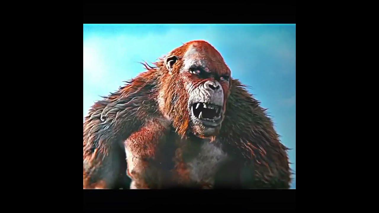 Godzilla X Kong: The New Empire Godzilla Troll face edit ⚡ #Godzilla #shorts #edit - YouTube