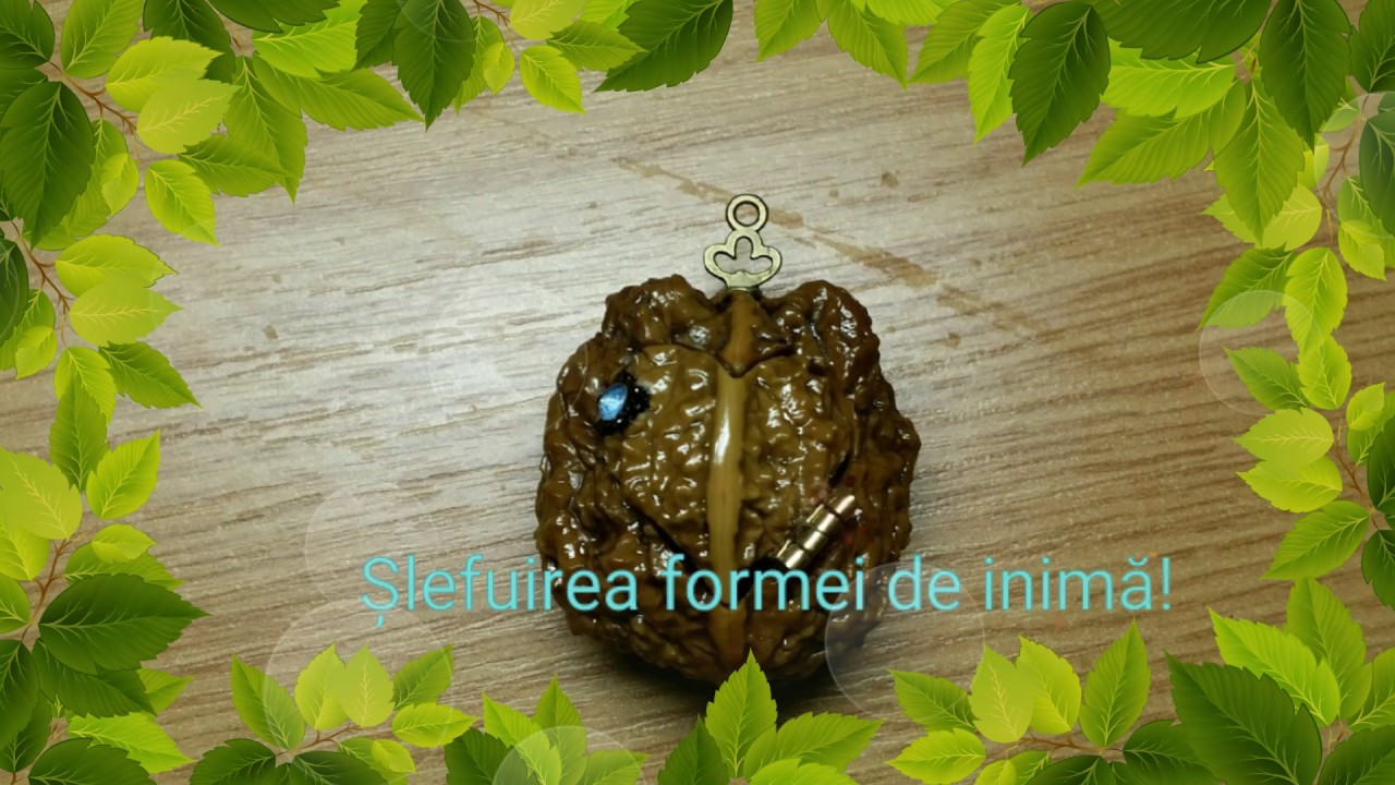 PANDANTIV NUCA SALBATICA RALUCA - YouTube