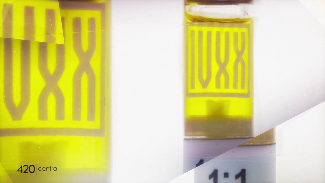IVXX Elevate | 420 Central - YouTube