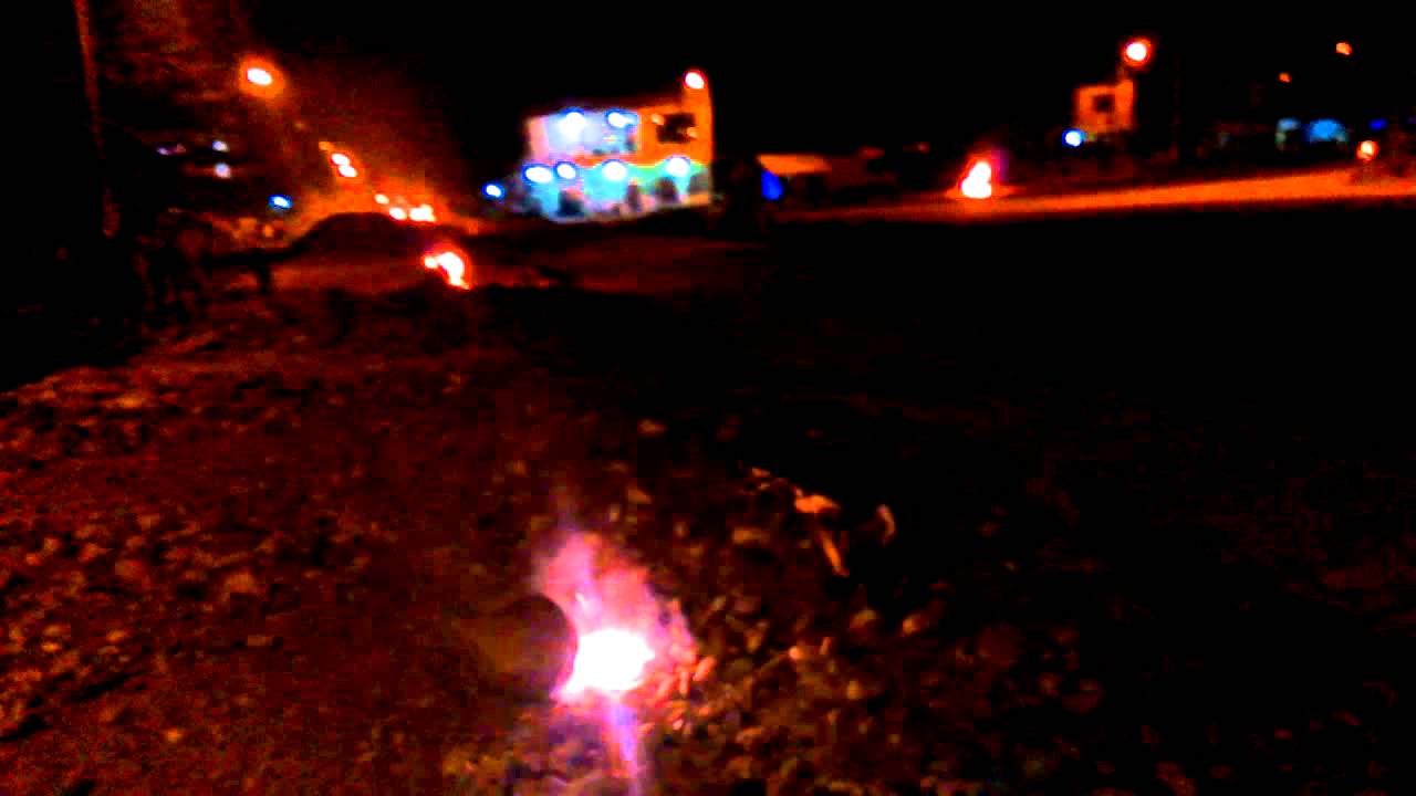 Un perrito temerario - YouTube