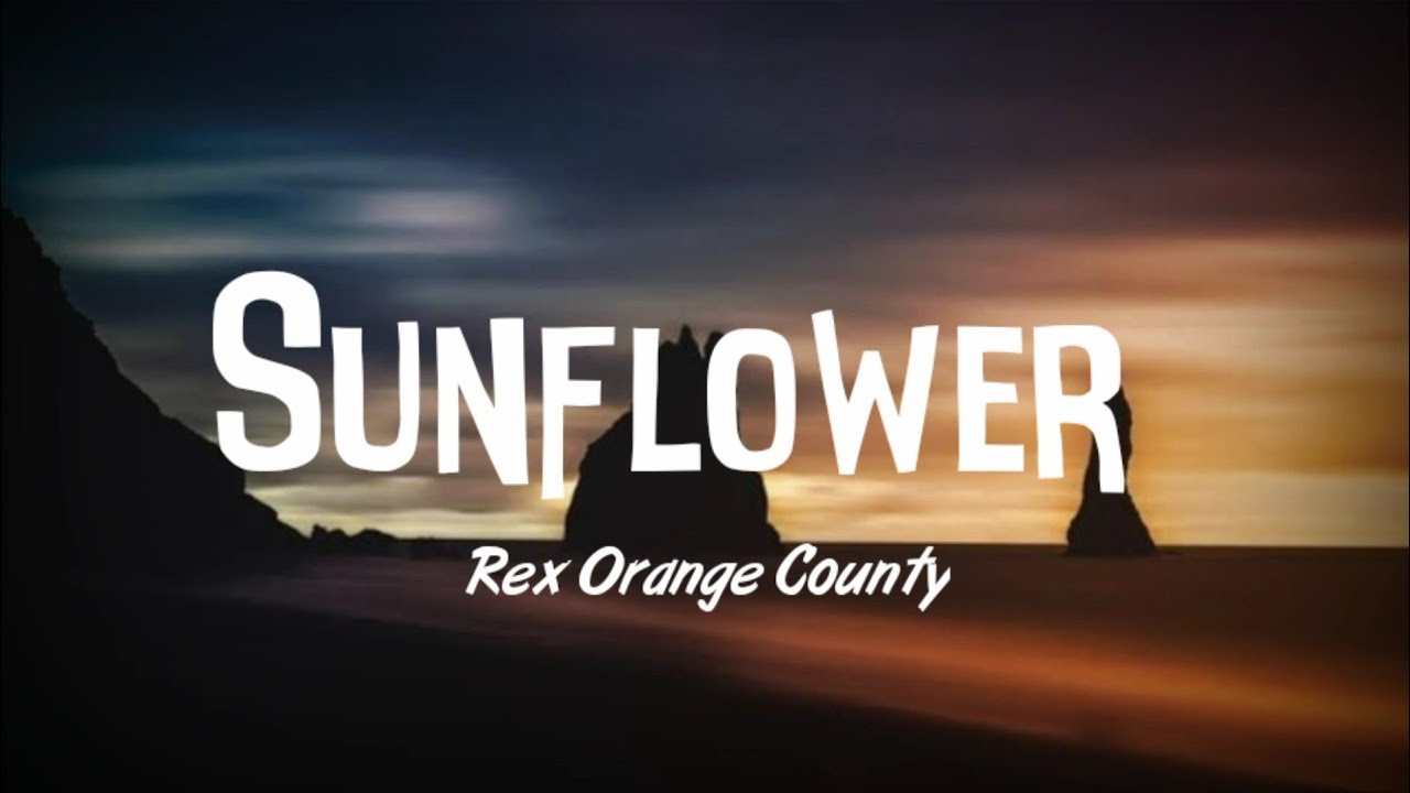 Sunflower by Rex Orange County Lyrics - YouTube