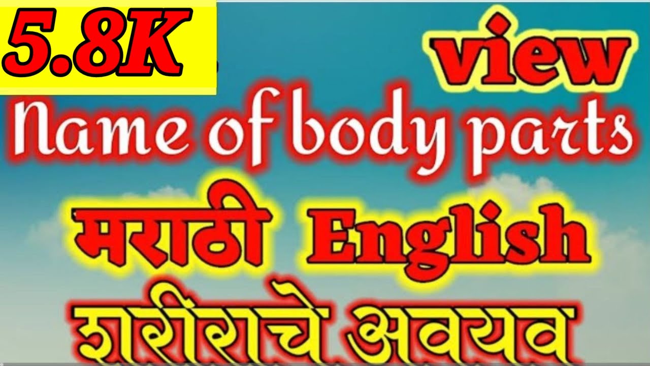 name of body parts, English- Marathi,शरीराचे अवयव इंग्रजी - मराठी - YouTube