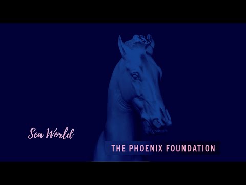 The Phoenix Foundation - Sea World (Official Audio)