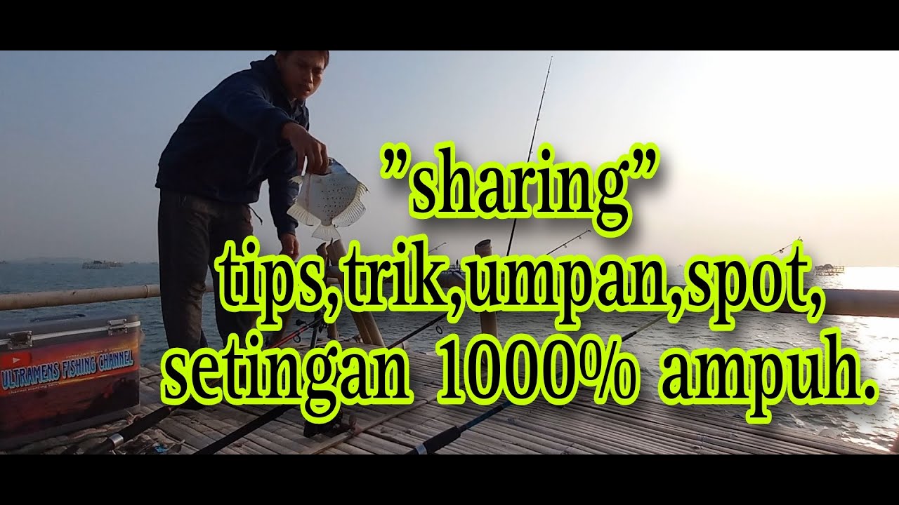 Ampuh 1000% Tips dan trik mancing ikan tapi tapi || mancing bagan ...
