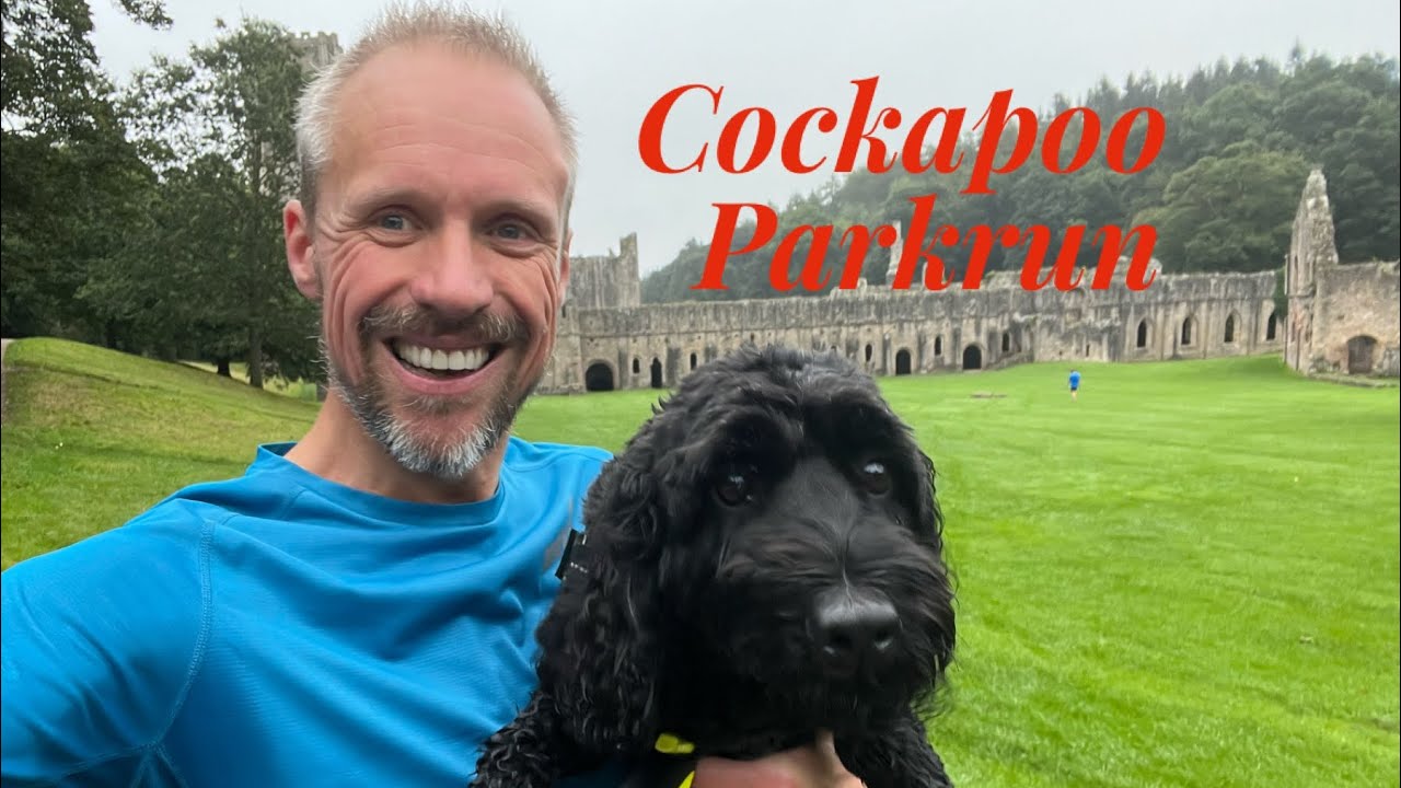 Can my Cockapoo dog run Fountains Abbey Parkrun? - YouTube