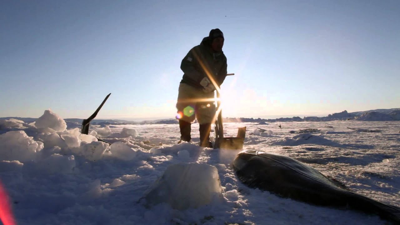 Traditional Inuit culture in Greenland HD - YouTube