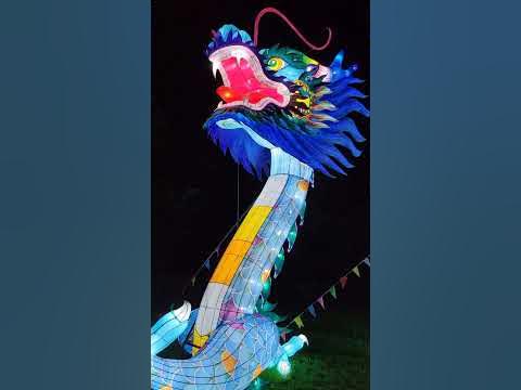 Chinese Dragon Christmas Decorations #christmas #christmasdecoration # ...