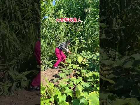 Feel the breath and beauty of nature Waiting for the destined you Natural beauty is the real bea