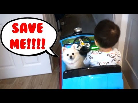 HELP! SAVE ME! - YouTube