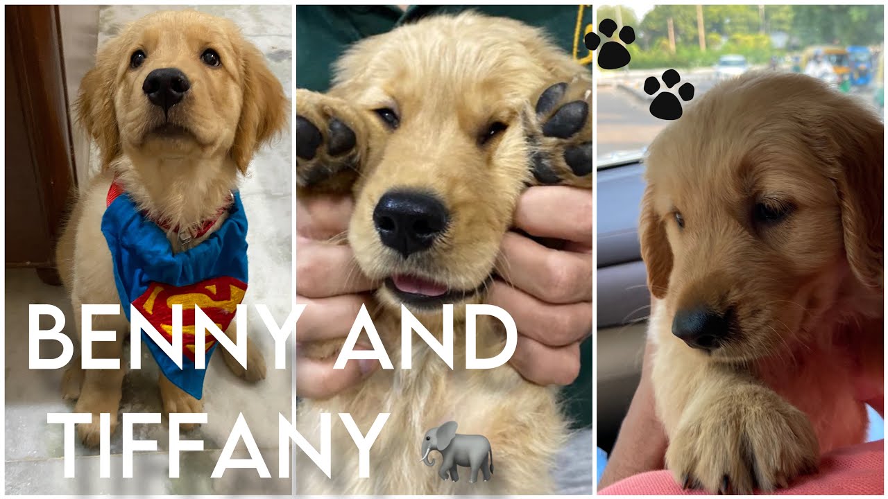 Does benny care about Tiffany or does he not? 🤭 - YouTube