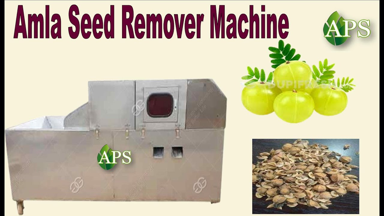 Revolutionizing Amla Processing: Introducing the Amla Seed Remover ...