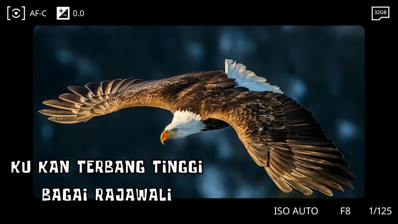 KU KAN TERBANG TINGGI BAGAI RAJAWALI COVER + VIDEO LIRIK - YouTube