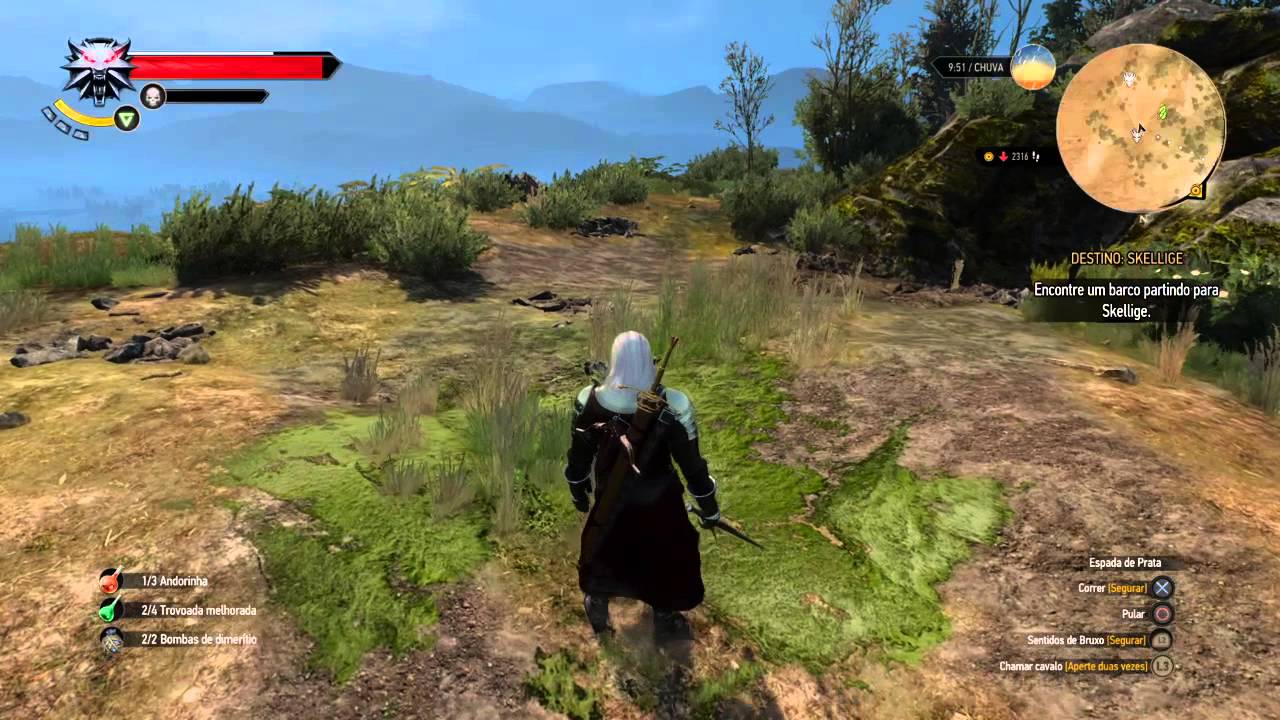 The Witcher 3 - Wyvern Real - YouTube