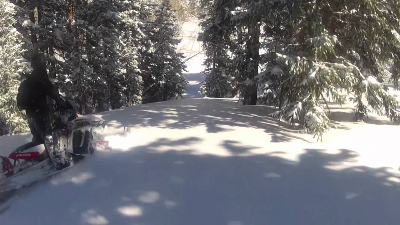 Utah Wolf Pack - Part II - YouTube
