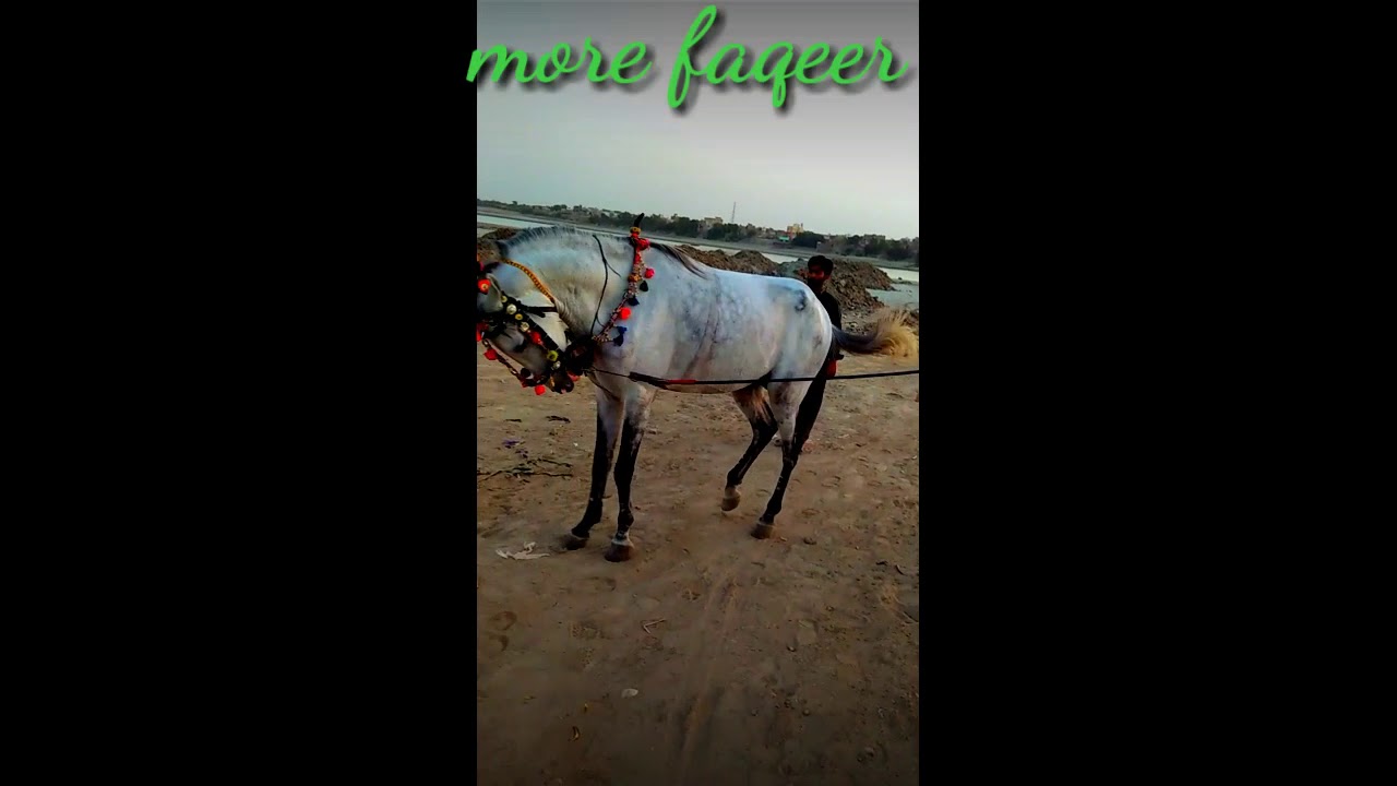 Mor faqeer Asad Ali Umrani - YouTube