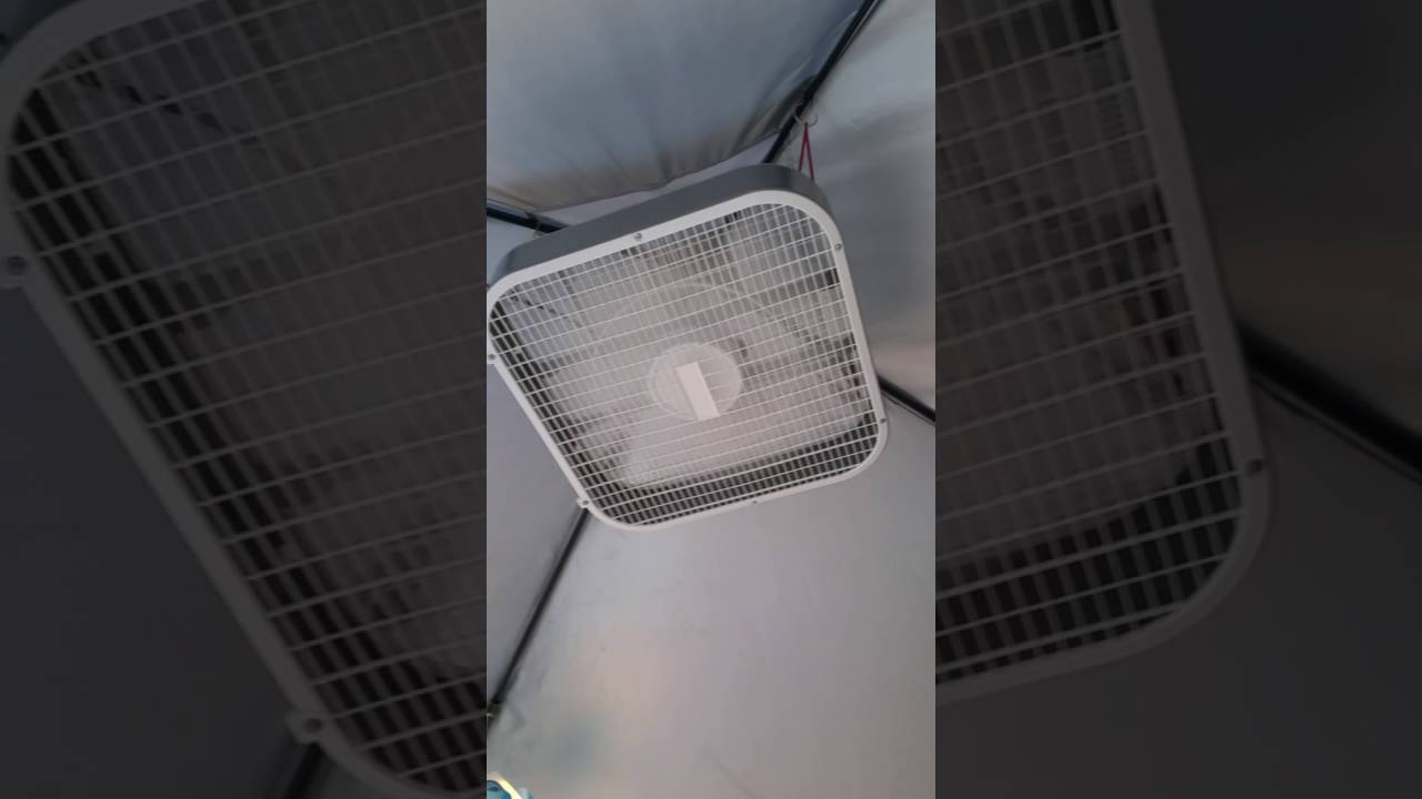 Canopy redneck ceiling fan - YouTube