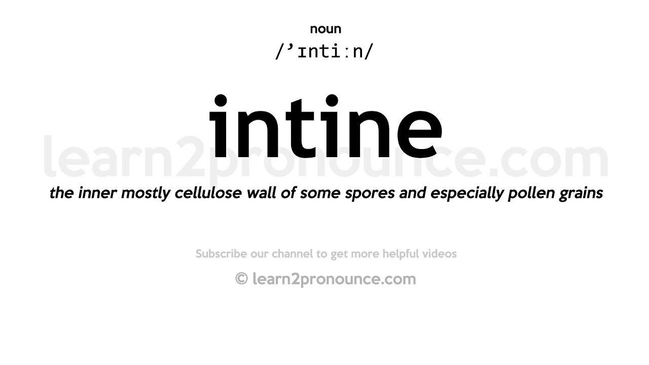 Pronunciation of Intine | Definition of Intine - YouTube