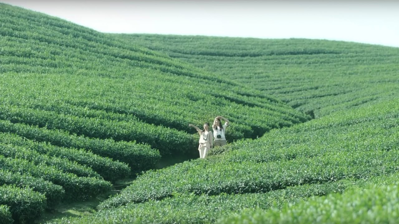 Chai Li Won Good Tea Journey 」 Advertising Theme Song "Man Man" MV ...