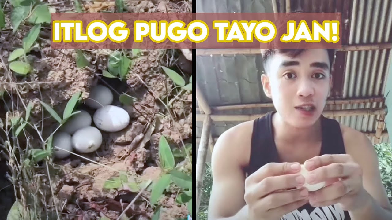 Hanap itlog pugo with Aling Maliit | Glen Gonzaga - YouTube