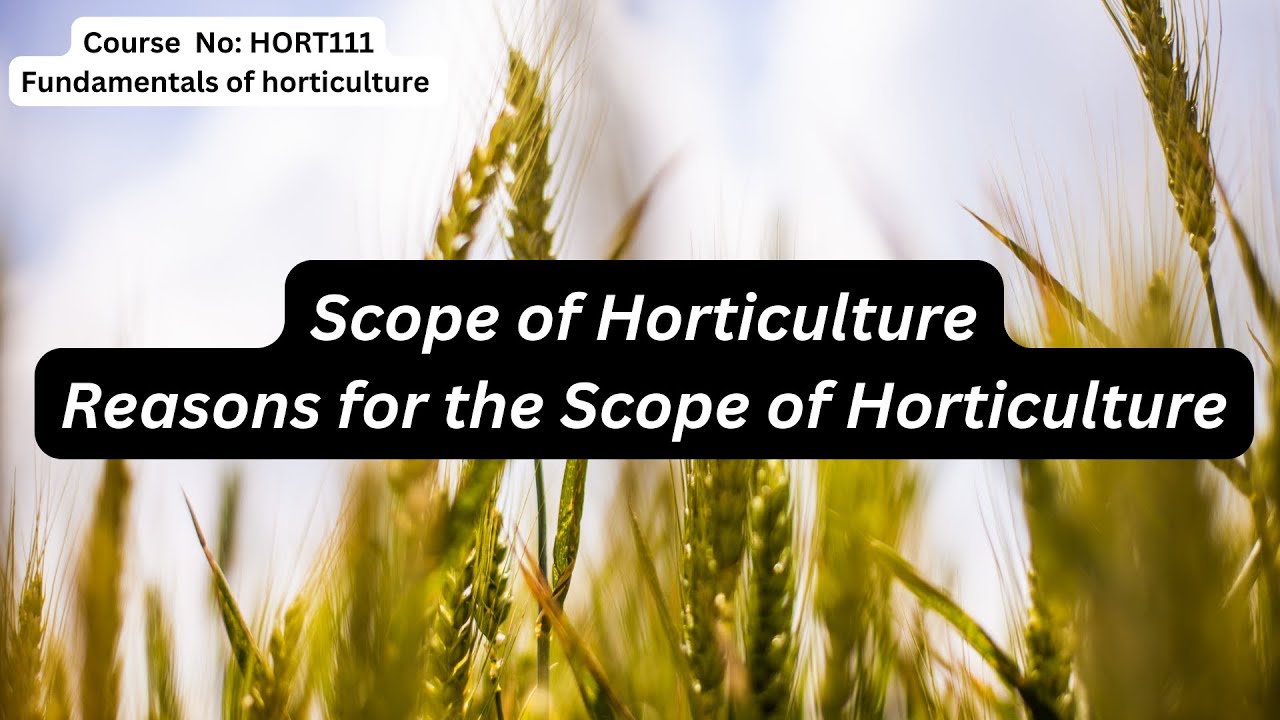 Scope of Horticulture || hortiulture || semester- 1 - YouTube