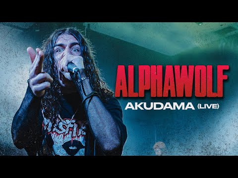 Alpha Wolf - Akudama (Live at Full Tilt, Brisbane)