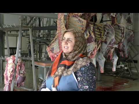 Eşine yardımla başladı, usta kasap oldu
