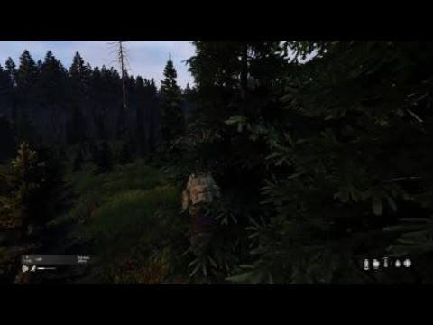 DayZ_LAR 400m kill PS4 - YouTube