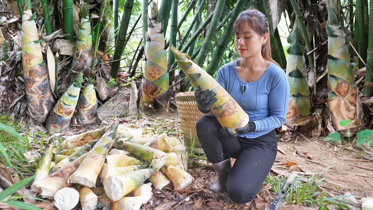 Harvesting Bamboo Shoot, Processing bamboo shoots, selling bamboo shoots || My Bushcraft - YouTube