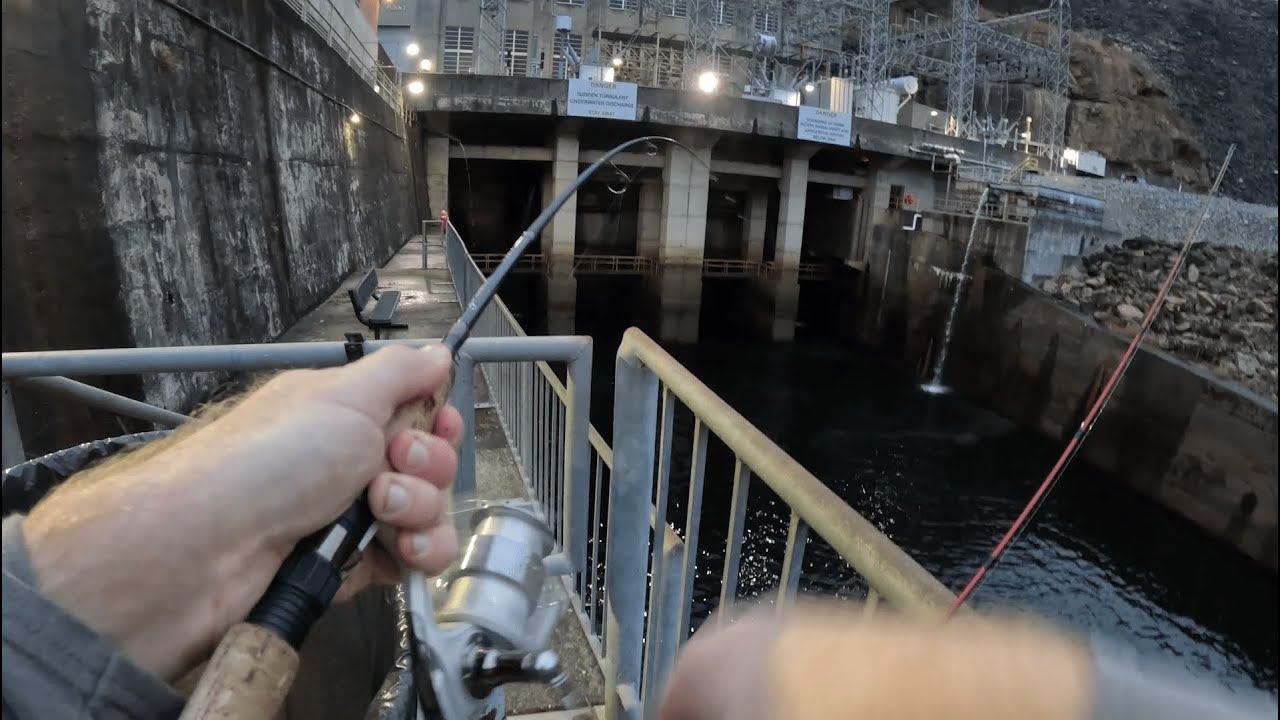 Catching Trout Below A Dam **Its Just Too Easy** - YouTube