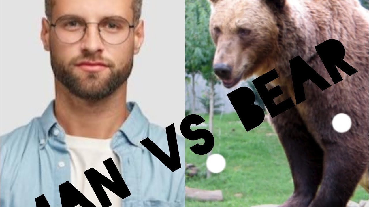 MAN VS BEAR/ CRAZY RESPONSES/ MAN AND BEAR WHAT WOULD YOU CHOOSE - YouTube