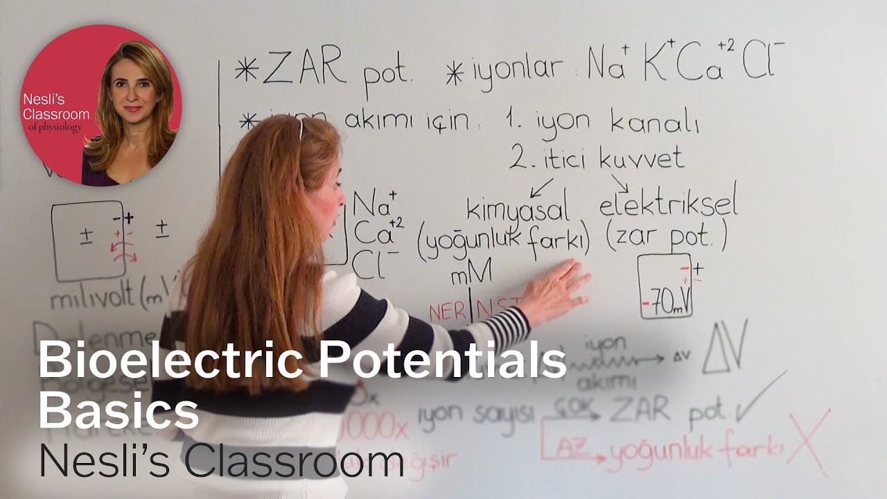 Bioelectric Potentials Basics - YouTube