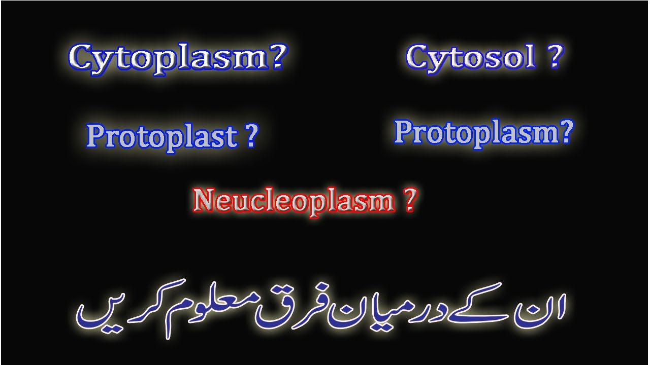 Difference between Protoplast,Protoplasm,Cytoplasm,Cytosole,Nucleoplasm || to the point lecture ...