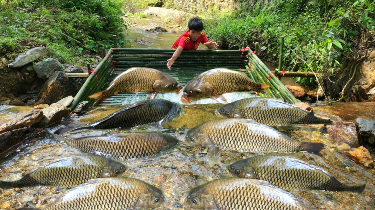 How to trap fish using the ancient method. The boy Lam caught many big ...