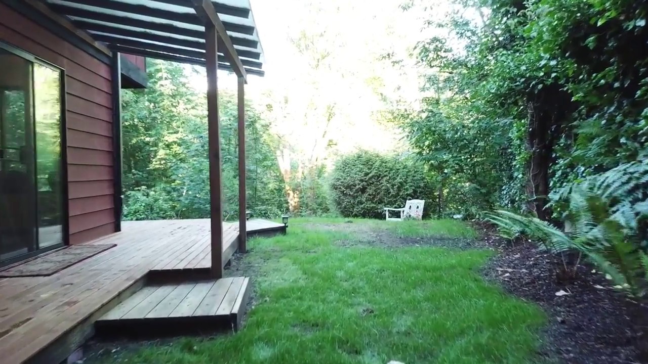Backyard and forest - YouTube