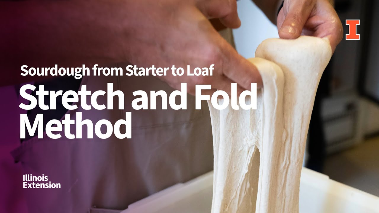 Sourdough Bread From Starter to Loaf How To – Stretch and Fold Method ...