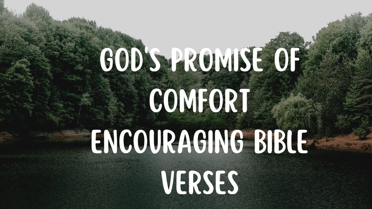 GOD'S PROMISE'S OF COMFORT//ENCOURAGING BIBLE VERSES//#gospel #bible # ...